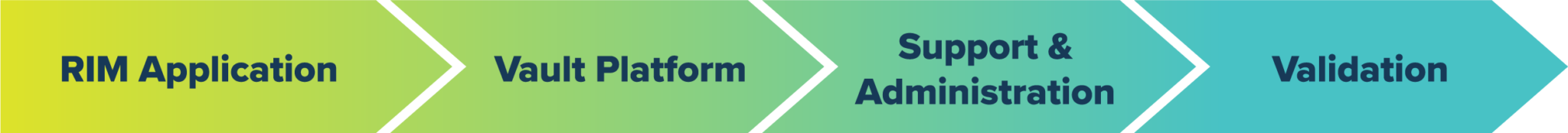 Veeva Vault RIM Health Check | Optimize Your System